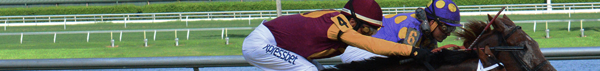 Wishlist - Jockey TackJockey Tack