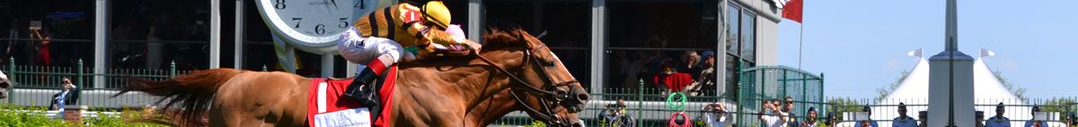 Contact Us - Jockey TackJockey Tack