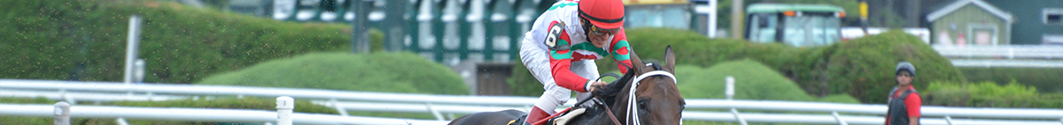 Brands - Jockey TackJockey Tack